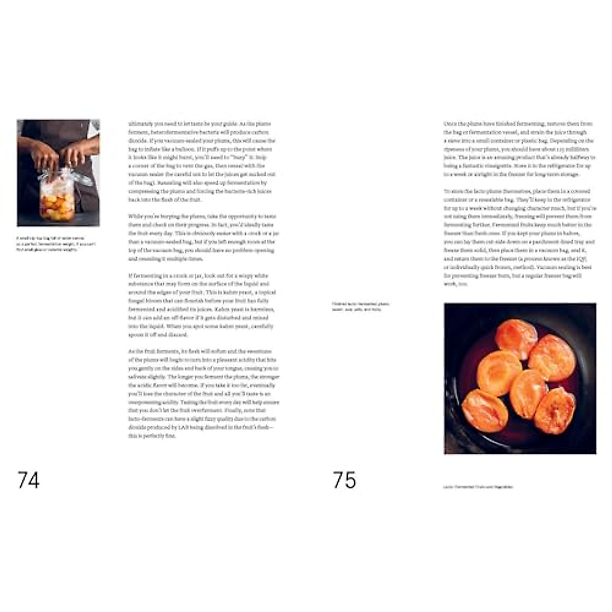 The Noma Guide to Fermentation: Including koji, kombuchas, shoyus, misos, vinegars, garums, lacto-ferments, and black fruits and vegetables (Foundations of Flavor)