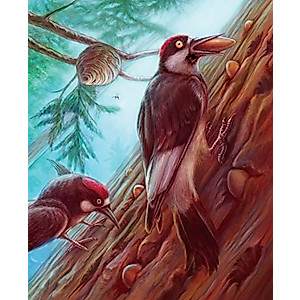 Tall Tall Tree: A Nature Book for Kids About Forest Habitats (A Rhyming Counting Book with STEAM Activities)