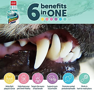 Dental Fresh Water Additive for Dogs, Original Formula, 17oz – Dog Breath Freshener and Dog Teeth Cleaning for Dog Dental Care– Add to Water