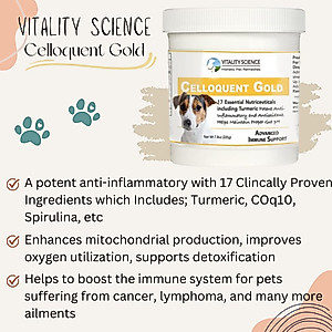 Vitality Science Celloquent Gold for Dogs | Holistic Advanced Immune Support Supplement | 17 Proven Ingredients | Auto Immune, Vomiting and Diarrhea, Depression (60g)