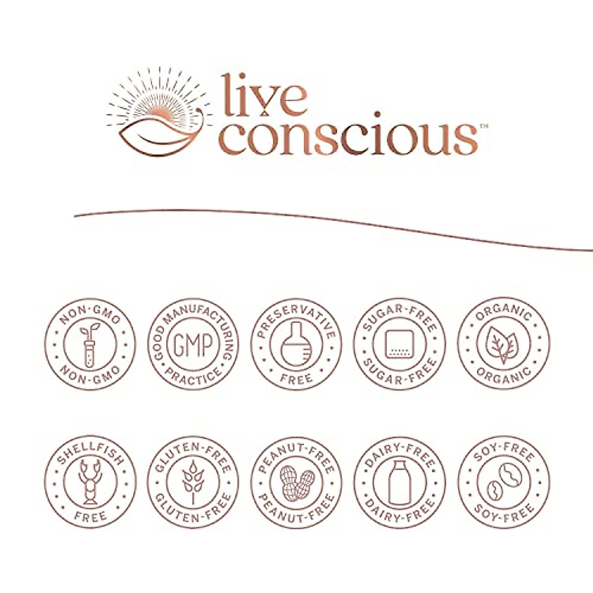 Organic Pea Protein Powder - Vanilla Dream Flavor | Low-carb Plant-Based Vegan Protein Blend - Pea, Brown Rice, Pumpkin, Sacha Inchi | 20 Servings 18.2 oz - by Live Conscious