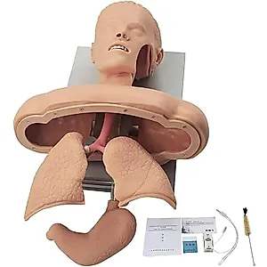 Oral Nasal Intubation Manikin,First Aid Tracheal Intubation with Alarm Function,Intubation Manikin Airway Management Trainer Advanced Human Tracheal Intubation Model