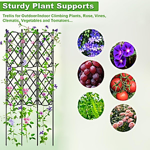 Garden Trellis for Climbing Plants, Deaunbr Plant Support Obelisk Trellis Garden Trellises for Vines, Flowers Stands, Raised Bed, Outdoor & Indoor Potted Plants, Tomato, Rose, Cucumber, Pea, Clematis