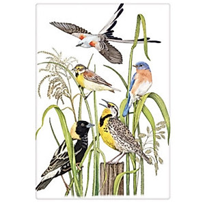 Mary Lake Thompson BT528 Meadow Birds Flour Sack Towel Screen Print Design Lower Center Only