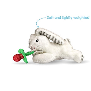 RAZBABY Razbuddy Razberry Teether/Pacifier Holder w/Removable Baby Teether Toy - 0M+ - Bpa Free - Bunny