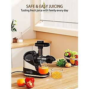 Wamife Slow Masticating Juicer Machine, Cold Press Juicer Extractor, 2 Modes & Reverse Function for High Nutrient Fruit & Vegetable Juice, Quiet Motor, with Cup & Brush(Black)