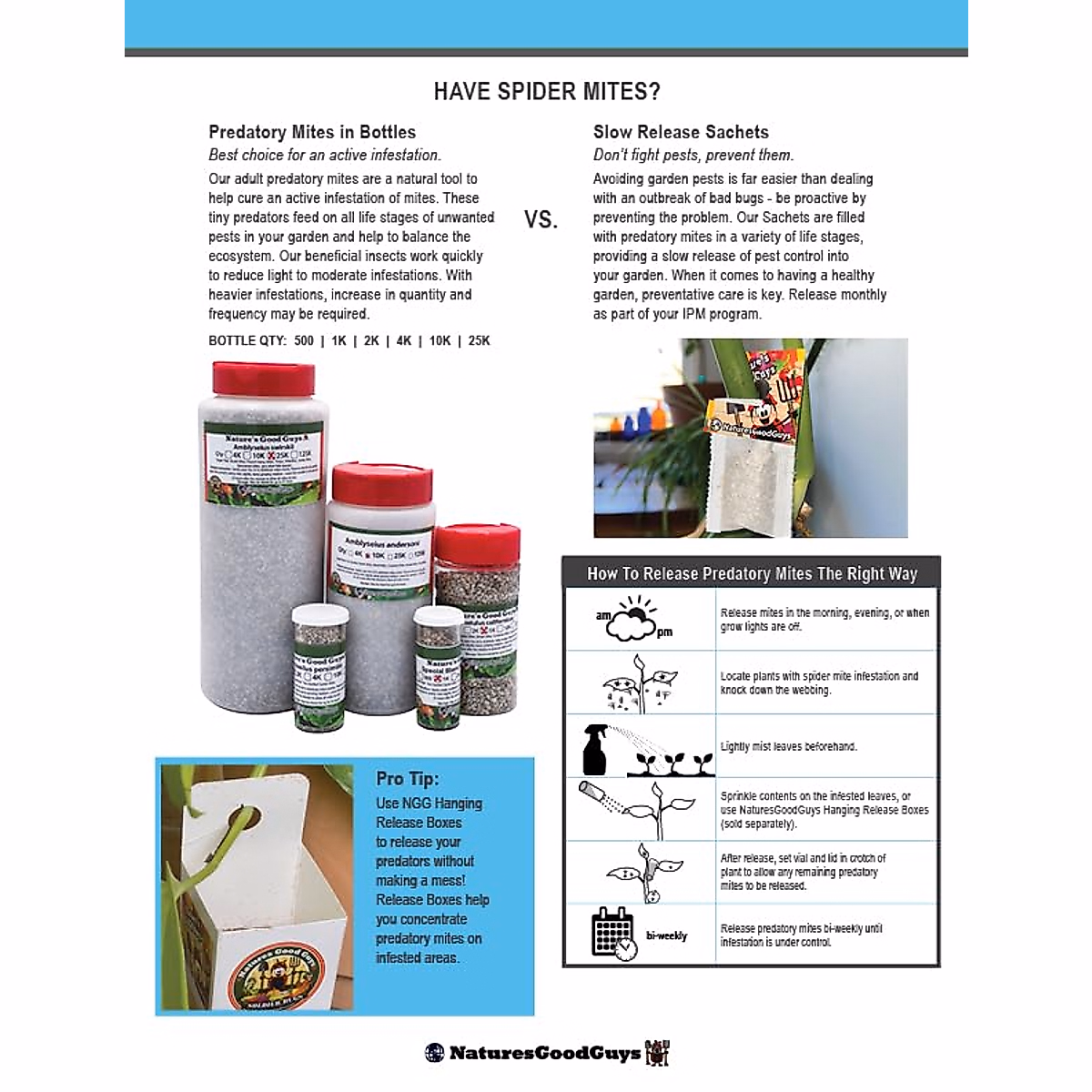 5,000 Live Adult Predatory Mites - P. persimilis - Spider Mite Control - Ships Next Business Day!
