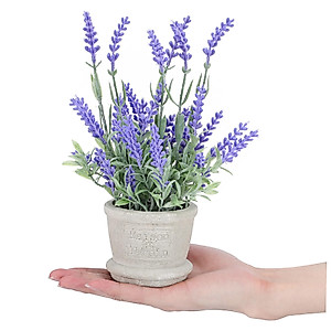 Artificial Flowers Plastic Lavender Arrangements in Pots for Decor 8.7 x 3.1Inch (Purple)