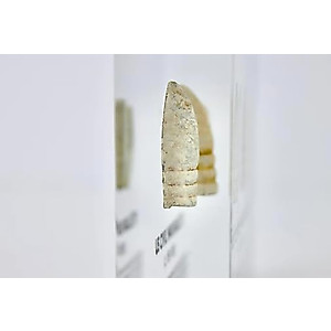 Civil War Minié Ball Bullets Display - Authentic Lead Bullets Preserved in Lucite, Handmade in USA, 4x3x1 inches, for Display or Education Purposes