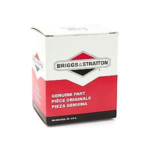 Briggs & Stratton OEM 84002309 A/C Cartridge Filter