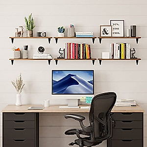 Wallniture Arras Floating Shelves for Wall, Bookshelves & Wall Storage Shelves for Living Room Decor, Office, Bedroom Walnut 24" Bookshelf Set of 6