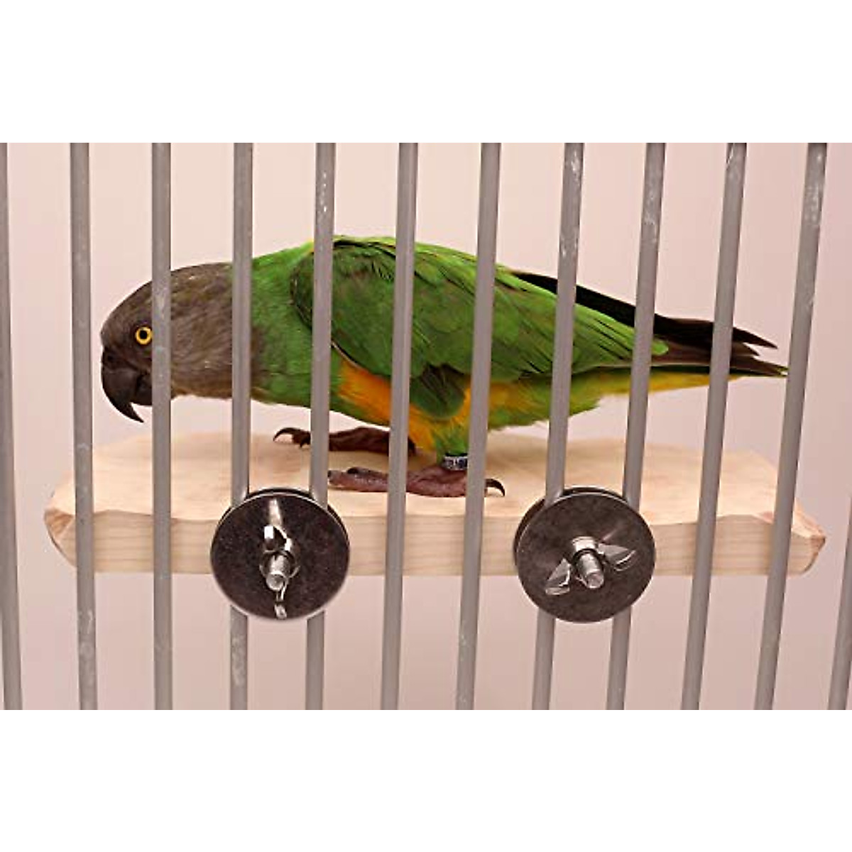 Hardwood Platform NU Perch for Small to Medium Parrots