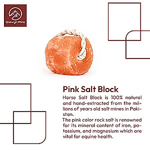Glowyn Himalayan Salt Lick-Natural Minerals Block on Rope - 4.0 lbs. (6 Packs) - Great for Horses, Cattle, and Live Stock– Long Lasting – Pink Salt Lick