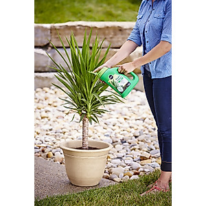 Miracle-Gro Shake 'N Feed Palm Plant Food, 4.5 lb., Feeds up to 3 Months