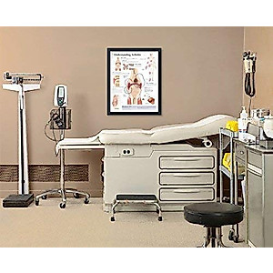 The Eye, Wall Decor Poster and Frame, Educational Art for Classrooms and Offices