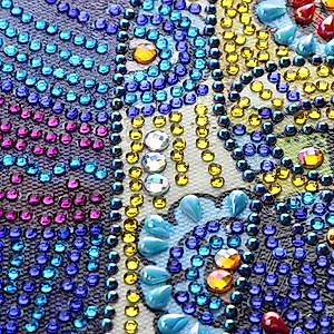 HAPPIShare Oil Painting Paint by Cat, Butterfly, Animal Kit for Kids Adults Students Beginner DIY Canvas Painting by Numbers Acrylic Oil Painting Arts Craft for Home Wall Decoration