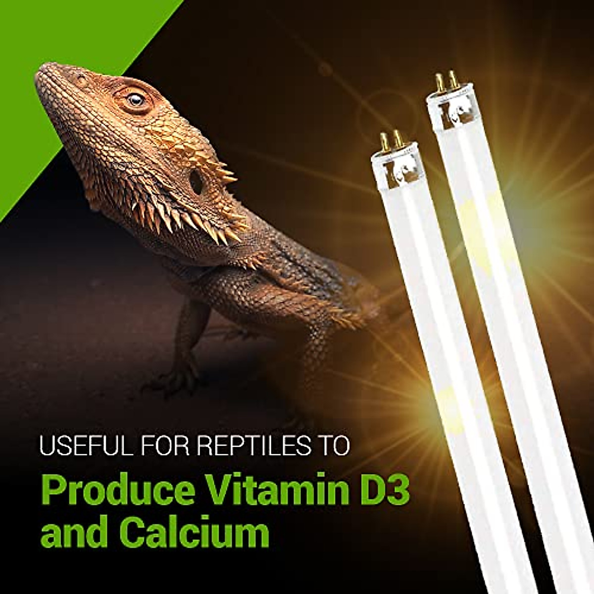 2 Pack 24W-Watt T5 HO Reptile Light Desert UVA UVB 10.0 Fluorescent Tube - 22" Terrarium Hood Light Suitable for Desert Reptile Lizards Bearded Dragons & Promotes Natural Behavior UVB Bulb (22Inch)