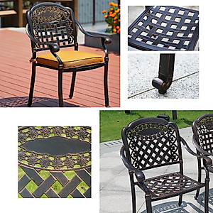 FAPOLITE Outdoor Dining Chair Cast Aluminum Patio Chairs Set of 2 All-Weather Patio Dining Chair with Adjustable Feet for Backyard Garden (B-Style Finland Chair)