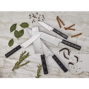 Spyderco Wakiita Funayuki Premium Kitchen Knife with 6.28" CTS BD1N Stainless Steel Blade and Black G-10 Handle - PlainEdge - K16GP