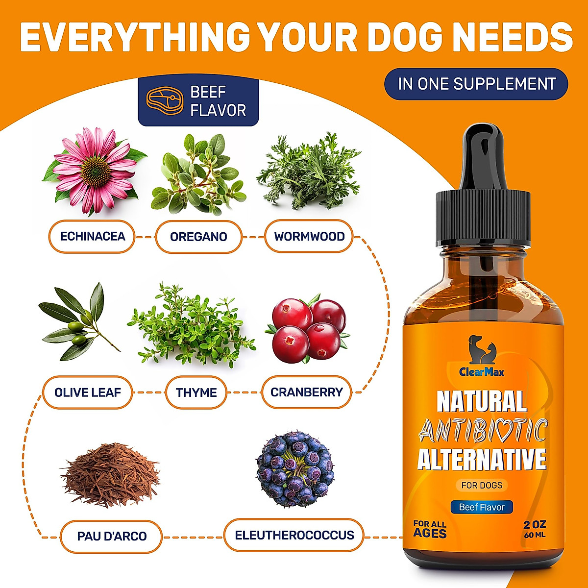Antibiotic for Dogs ◆ Dog Antibiotic ◆ Natural Antibiotics for Dogs ◆ Pet Antibiotic ◆ Dog Antibiotics with Beef Flavor ◆ 2 Oz