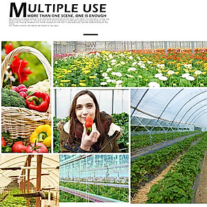 BSOD Solar Grow Lights for Outdoor Plants, Cordless Full Spectrum Growing Led Greenhouse Lamp with Timer Auto Remote Wireless Waterproof,2in1 Motion Sensor Street & Plant Light