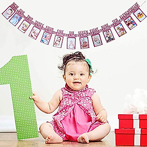 First Birthday Party Photo Banner, Baby Sign Decors from New Born to Twelve Months, Pink Glitter Baby's 1st Birthday Party Photo Booth Bunting Supplies