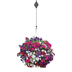 4 Pack Retractable Plant Pulley, Plant Hook Pulley for Garden Baskets Pots and Birds Feeder in Different Height Lower and Raise(Black)