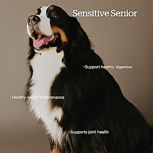 Now Fresh Grain-Free, Dry Dog Food, Real Meat and Fish, Turkey, Salmon and Duck Large Breed Senior Recipe, 25 lb Bag