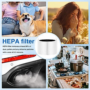 211i Max Replacement Filter Compatible with Blue Pure 211i Max Air Purifier. Blue Pure F2MAX, 3-in-1 H13 Ture HEPA and High-Efficiency Activated Carbon Filters