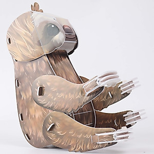 Sloth 3-D Puzzle & Book Set