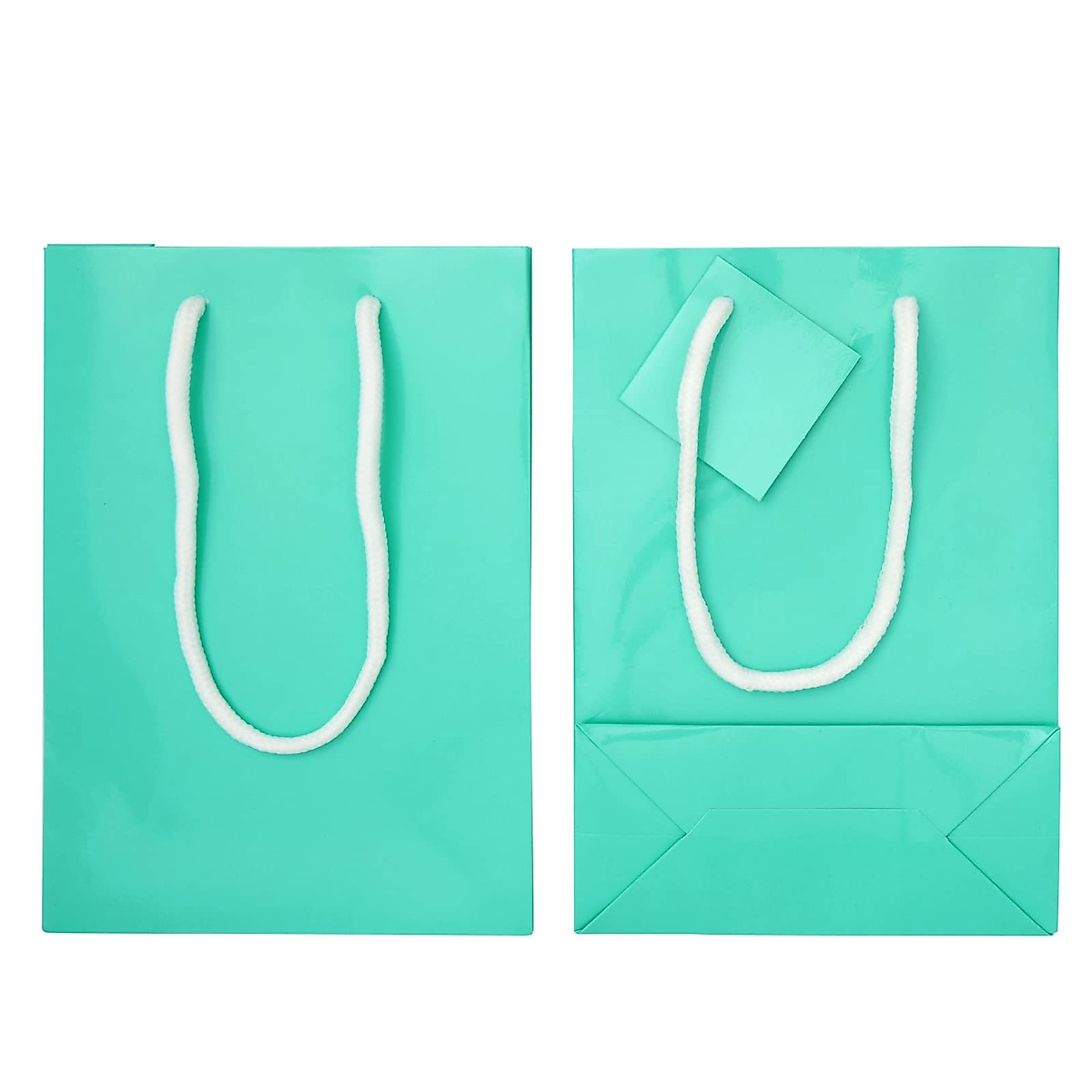 BLUE PANDA Small Teal Party Favor Gift Bags with Handles, Tissue Paper (5.5 x 7.9 In, 20 Pack)
