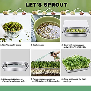 GOLOMOZ Sprouting Tray Rectangle Stainless Steel Seed Germination Tray Kit Fresh Organic Bean Sprout Grower Kit with Base Set for Beans Broccoli Sprout Alfalfa Seeds Wheat Grass Growing Kit - Large
