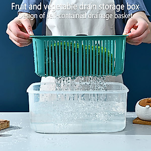 QBOMB Vegetable and Fruit Storage Container, Containers with Lid and and Removable Drain Basket,Containers for Fridge Berries Vegetable Wash, 5 Sizes, Food Grade Safe,2300ml