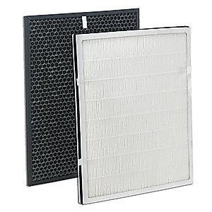 Germ Guardian FLT9200 True HEPA Genuine Air Purifier Replacement Filter H, and Carbon Combo Pack, for GermGuardian AC9200