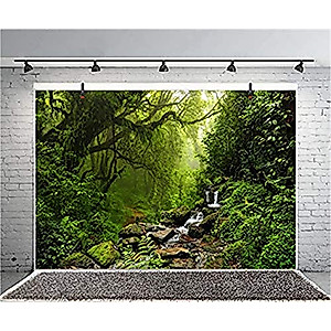 LFEEY 10x8ft Graceful Natural Scenery Backdrop Evergreen Forest Jungle Rock Flowing Mountain Stream Rainforest Photography Background Birthday Party Events Photo Studio Props