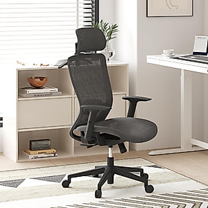 FLEXISPOT OC3B Ergonomic Executive Mesh Office Chair Swivel Height Adjustable Seat Headrest Armrest Lumbar Support Caster Wheels Task Chair Gray Mesh Seat Computer Office Desk Chair