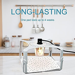 12 Pack Flea Trap Refill Discs 6" Replacement Glue Boards for Terro T230 T231 Square Flea Bed Bug Traps for Inside Your Home, Sticky Pads for Fleas, Bugs, Flies, Mosquitos, etc