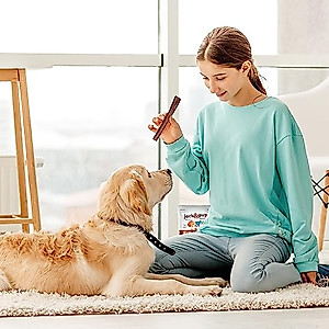 Jack&Pup 6" Beef Collagen Sticks for Dogs, Rawhide Free Dog Chews Long Lasting Collagen Chews for Dogs Healthy Dog Treats for Medium Dogs Joint Support for Dogs | Bully Stick Alternative (10 Pack)