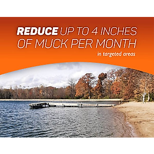 Muck Doctor, 5 Biological Spikes to Reduce Muck, Perfect for Beach Fronts, Lake Docks and Swimming Areas