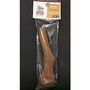 1-GIANT-JUMBO Whole Elk Antler for Dogs –XXXL All Natural premium Grade A. Antler Chew. Naturally Shed, Hand-picked, and made in the USA. NO ODOR, NO MESS. GUARANTEED SATISFACTION. For dogs 60-90+ Lbs
