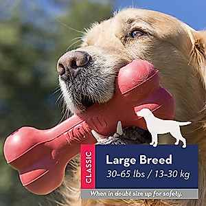 KONG - Goodie Bone and Flyer - Durable Rubber Chew Bone and Flying Disc - for Large Dogs