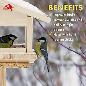 Morning Bird Thrive, Nutritious Energy Supplement with Minerals, Vitamins, Amino Acids, Electrolytes, and Protein, 1 oz