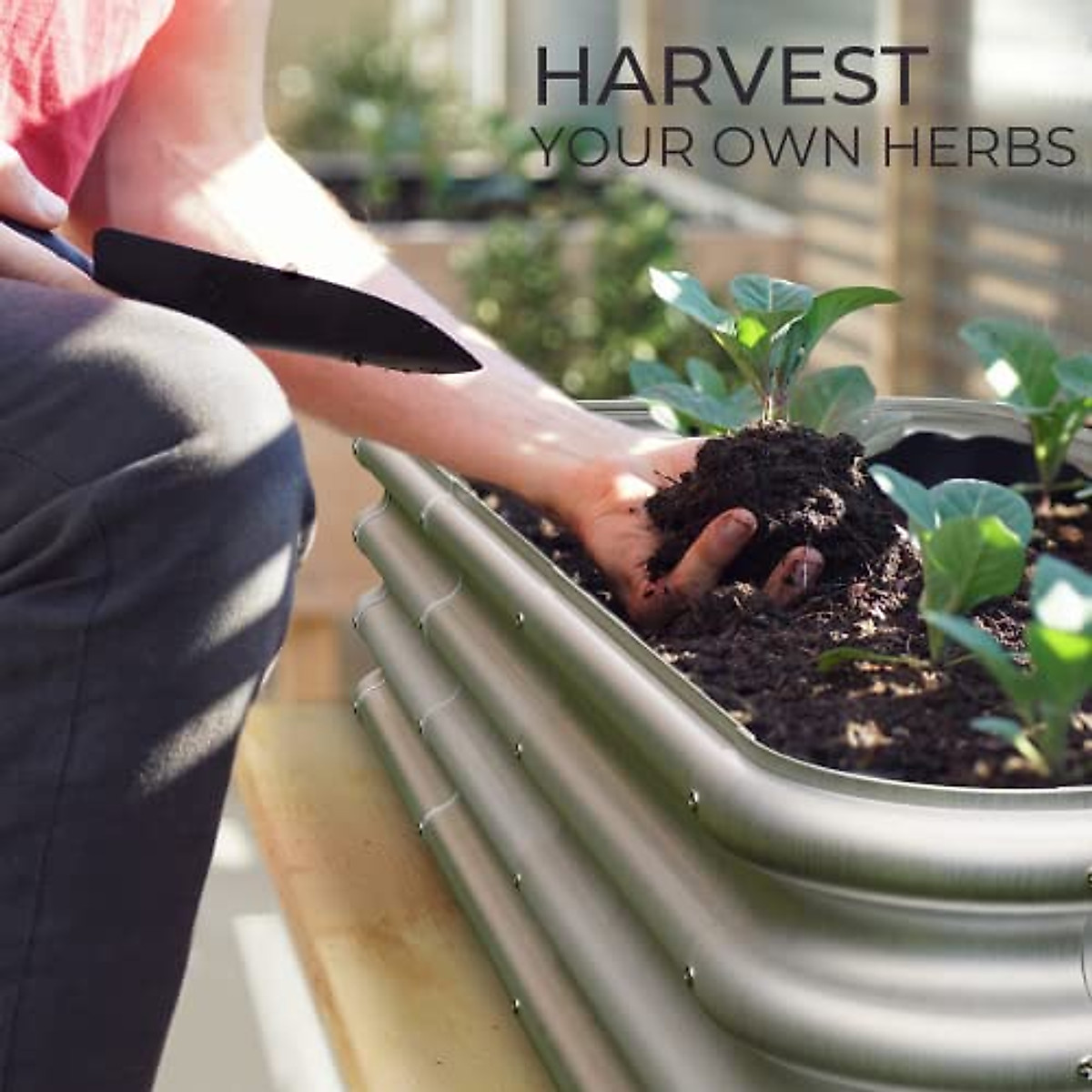 ZICOTO Premium Raised Garden Bed for Outdoors - Sturdy and Easy to Assemble Galvanized Steel Planter Box - Versatile Metal Planter is Perfect to Grow Your Beautiful Herbs, Vegetables and Flowers