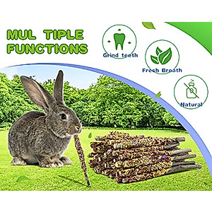 Abizoo Bunny Chew Toys for Rabbits,18PCS Natural Apple Wood Sticks with Petals Good for Chinchillas Guinea Pig Hamster Teeth Care, Bunny Small Pet Treats Teething Toys| Natural Organic Safe