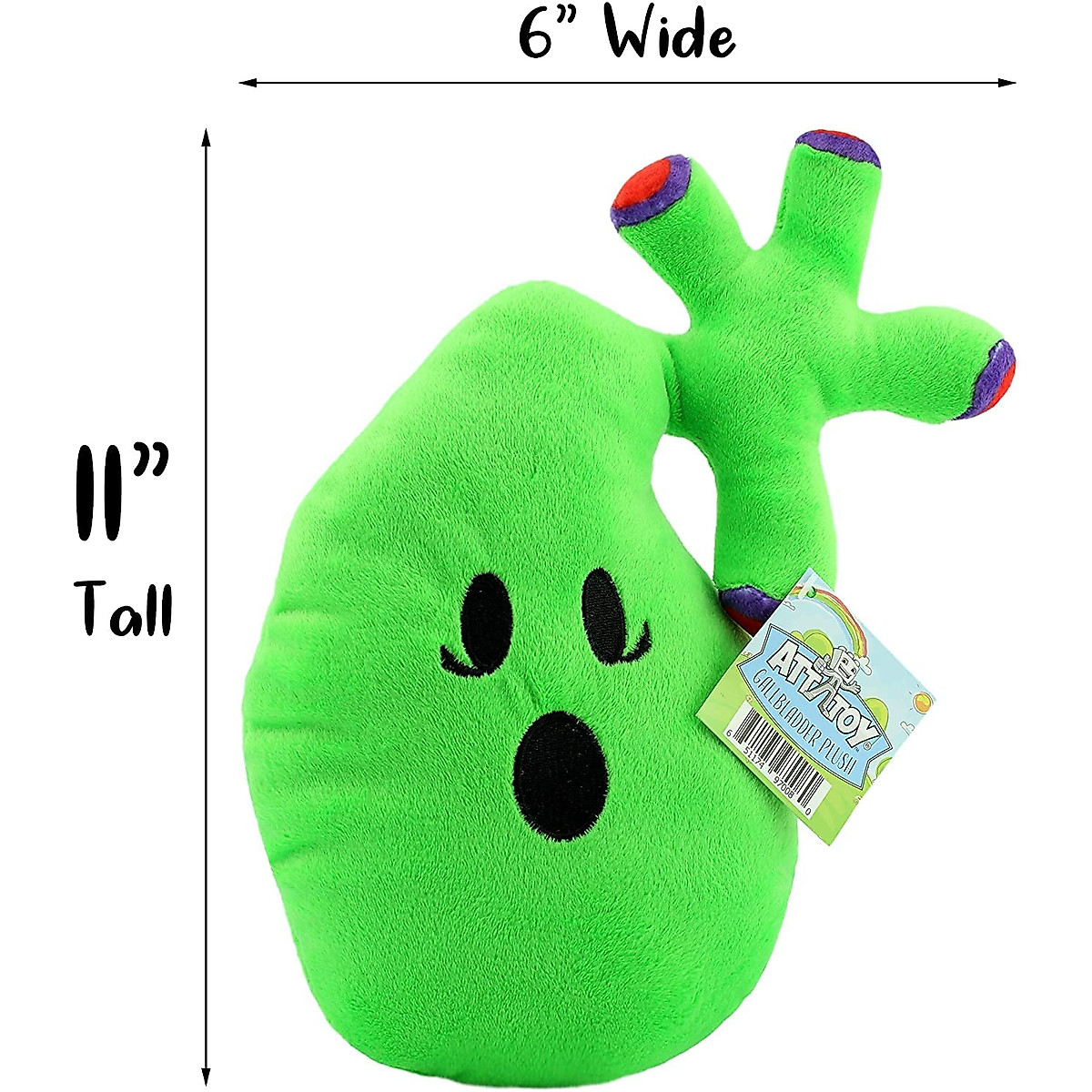 Attatoy Gallbladder Plush, Body Organ Stuffed Toy Complete with Gallstones