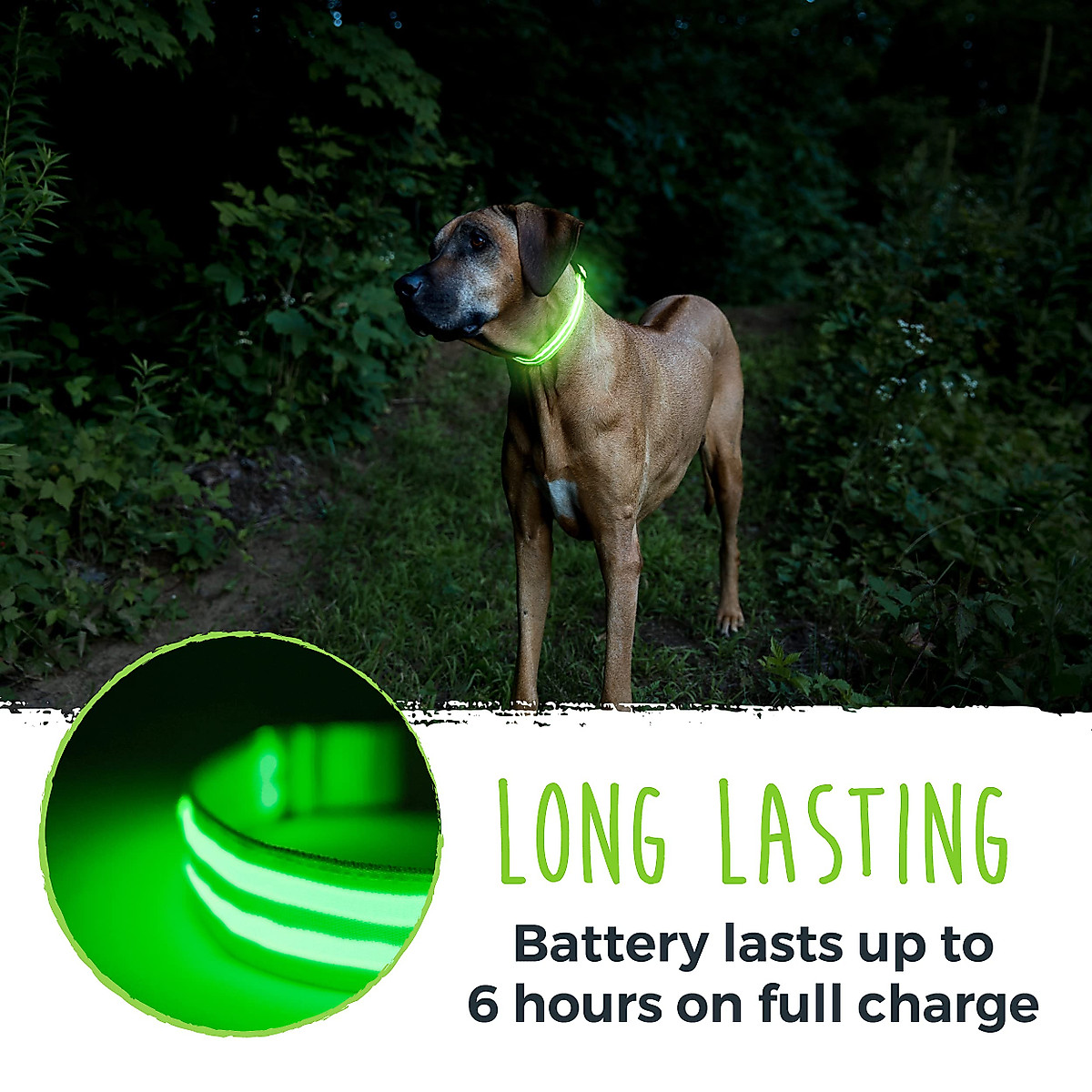 Mighty Paw LED Dog Collar - USB LED Rechargeable - USB Rechargeable Light - High Visibility Glow Strips - Glow Pet Weather Resistant - Enhanced Nighttime Visibility - Light Up Dog Collar - (L, Green)