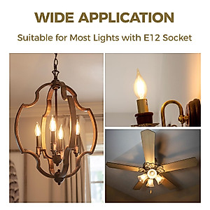 Hizashi E12 Candelabra Bulb 60 watt Equivalent, 2700K Soft Warm White, Dimmable Chandelier Light Bulbs, 90+ CRI 6W 550LM, CA11 Flame Tip E12 LED Candle Bulb, UL Listed,12 Pack