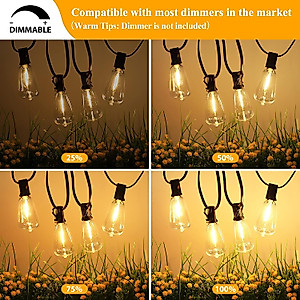 NOTOC LED Replacement Light Bulb,Dimmable Edison Light Bulb Warm White 0.6 watt G40/E12 Screw Base,ST38 LED Shatterproof Bulbs for Indoor/Outdoor Courtyard String Lights, Pack of 15