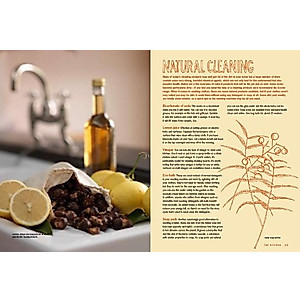 The Self Sufficient-ish Bible: An Eco-living Guide for the 21st Century