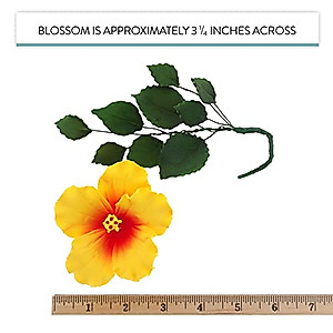 Global Sugar Art Hibiscus Sugar Cake Flowers, Assorted Colors, 5 Count and Leaf Sprays by Chef Alan Tetreault